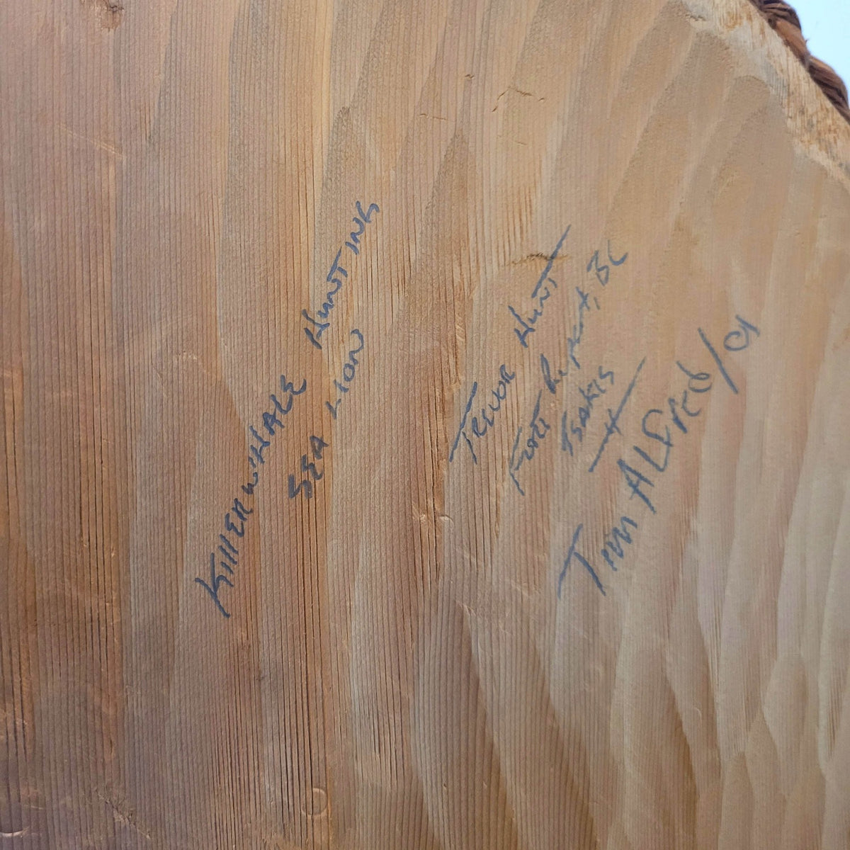 Killer Whale Hunting Sea Lion Mask by Trevor Hunt & Tim Alfred ...