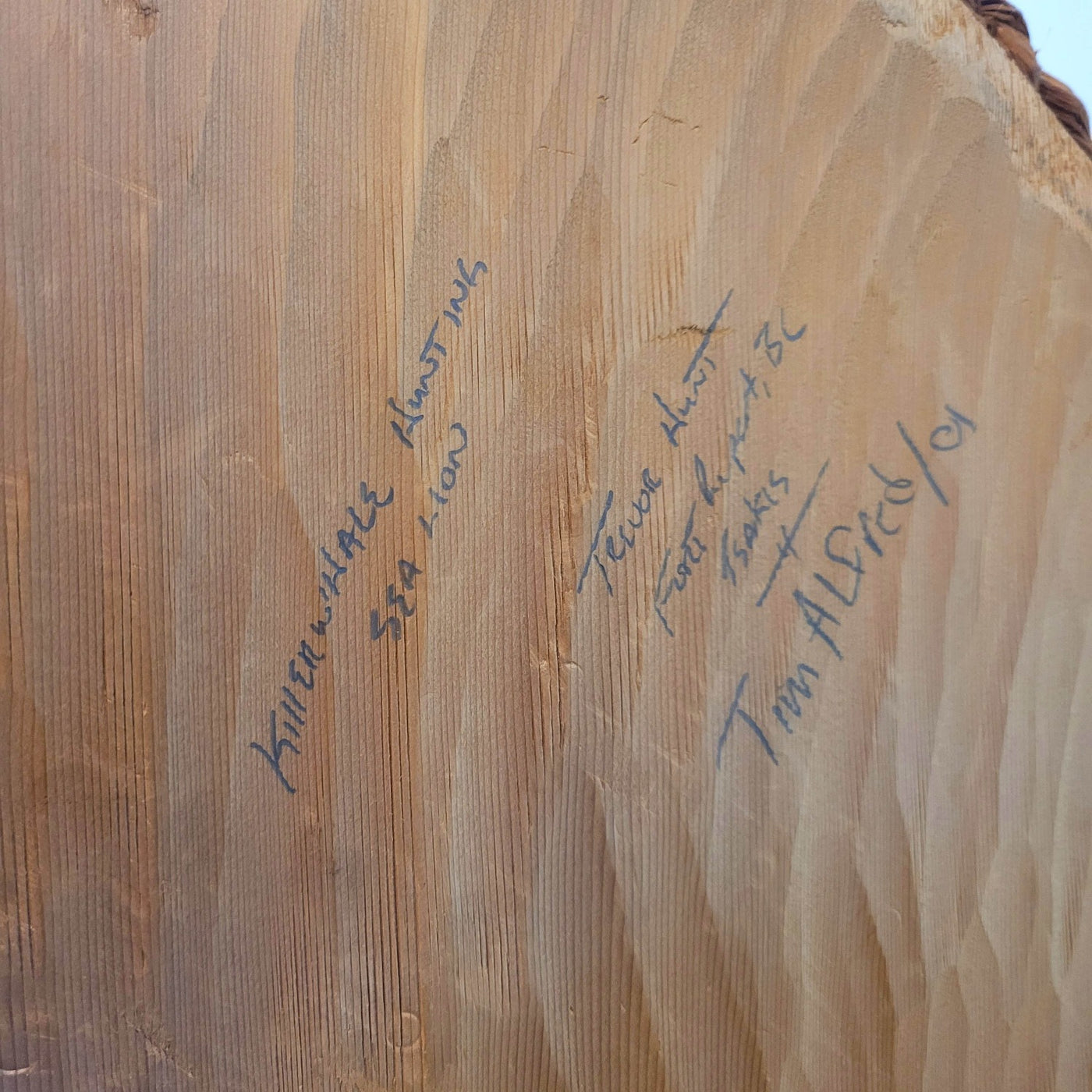 Killer Whale Hunting Sea Lion Mask by Trevor Hunt & Tim Alfred ...